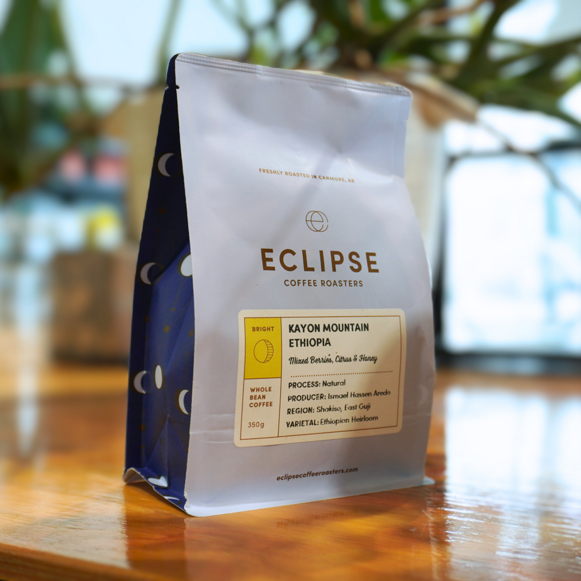 Canada's One Stop Shop for Cafe Owner and Espresso Enthusiasts — Coffee Addicts